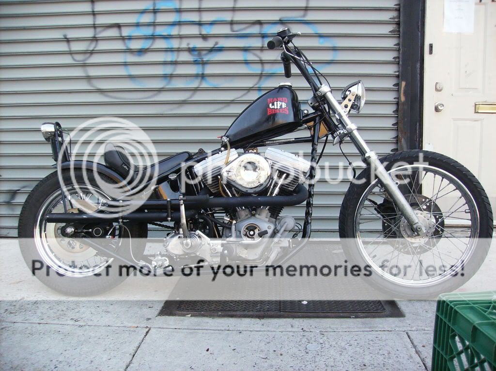 rigid evo | Jockey Journal Forum