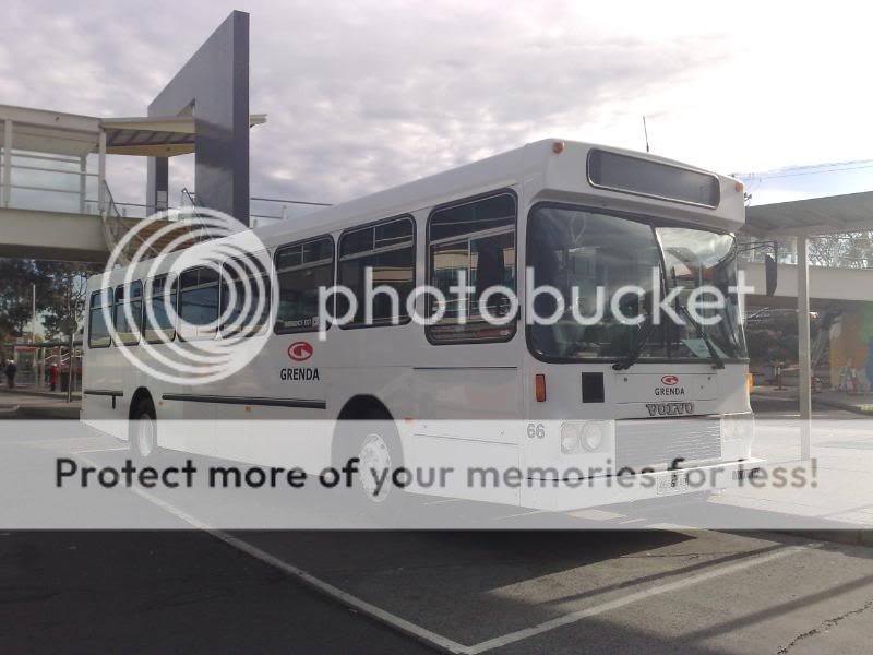 Grendas bus #66 (with GTM Logo).