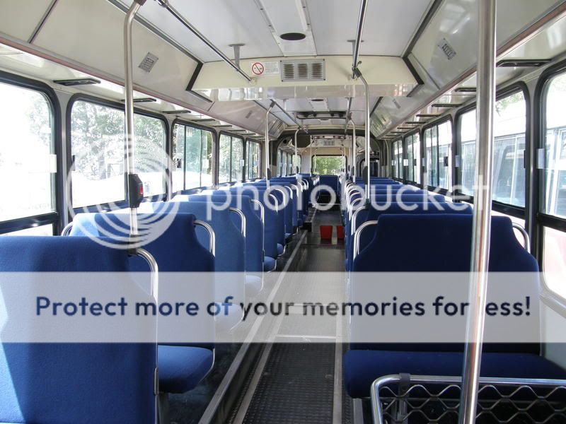 Your best pics from 2008