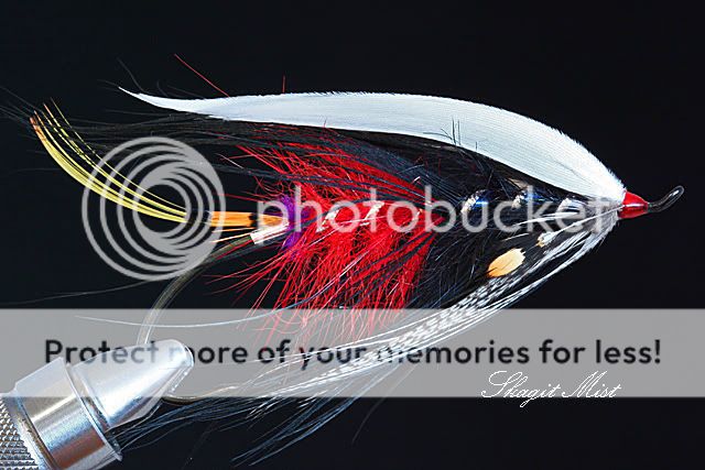 Skagit Mist | Spey Pages