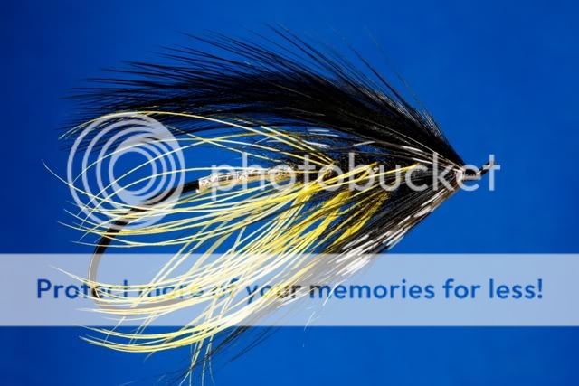 Steelhead Feather Wing SBS | Spey Pages