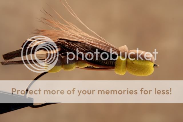 Grasshopper legs | Washington Fly Fishing Forum
