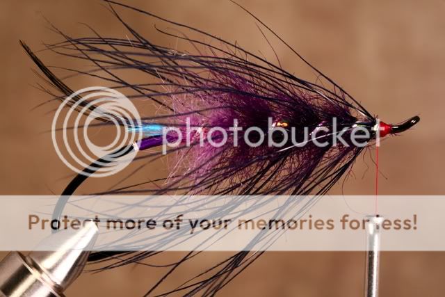 A Purple Spey Fly | Spey Pages