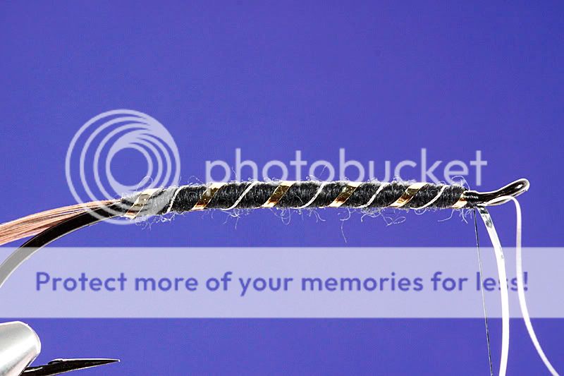 Gold Speal Clasic Spey Fly | Spey Pages