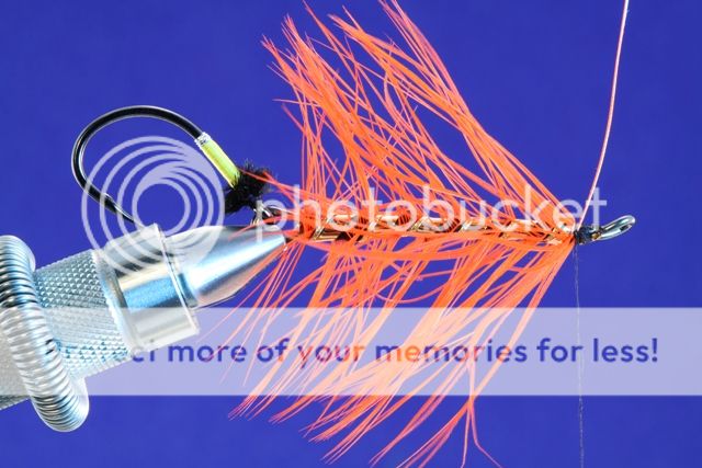 Thunder and Lighting Senyo's Shank | Spey Pages