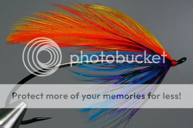 Winters Hope | Spey Pages