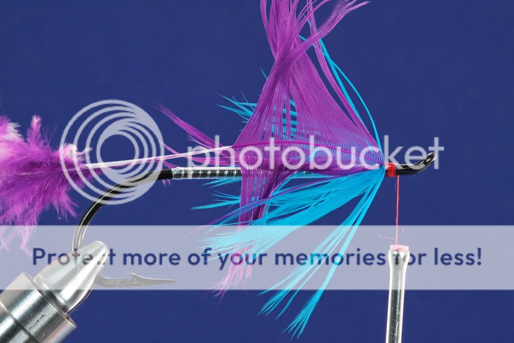 Winters Hope | Spey Pages